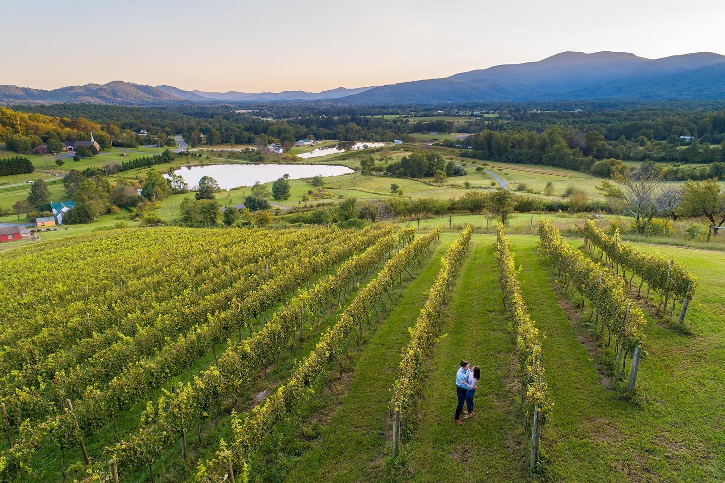 Valley Road Vineyards | A Virginia Winery