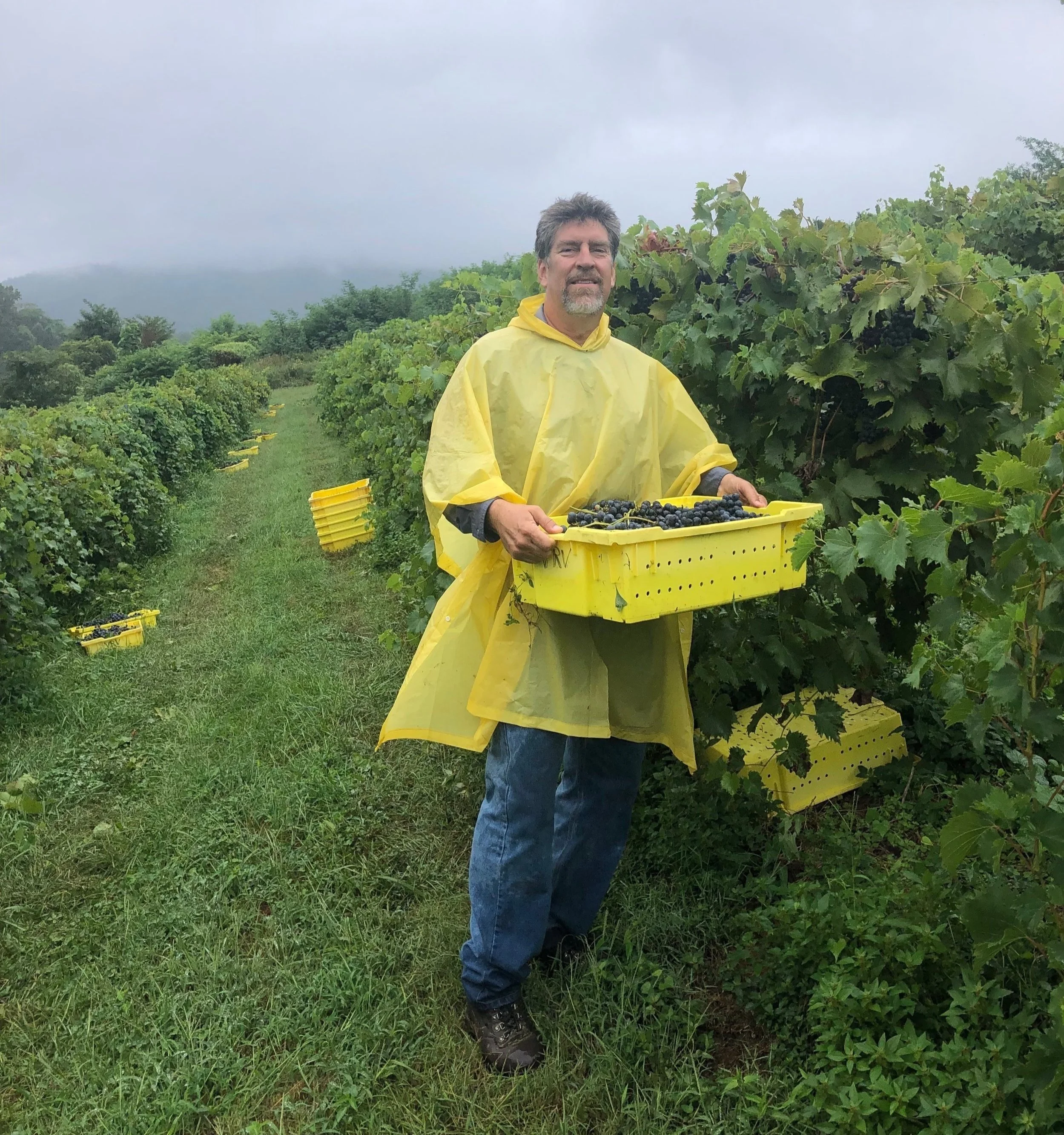 ABOUT US | Explore Virginia Wines Today — Valley Road Vineyards