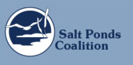 Allies — RI Coastal Access