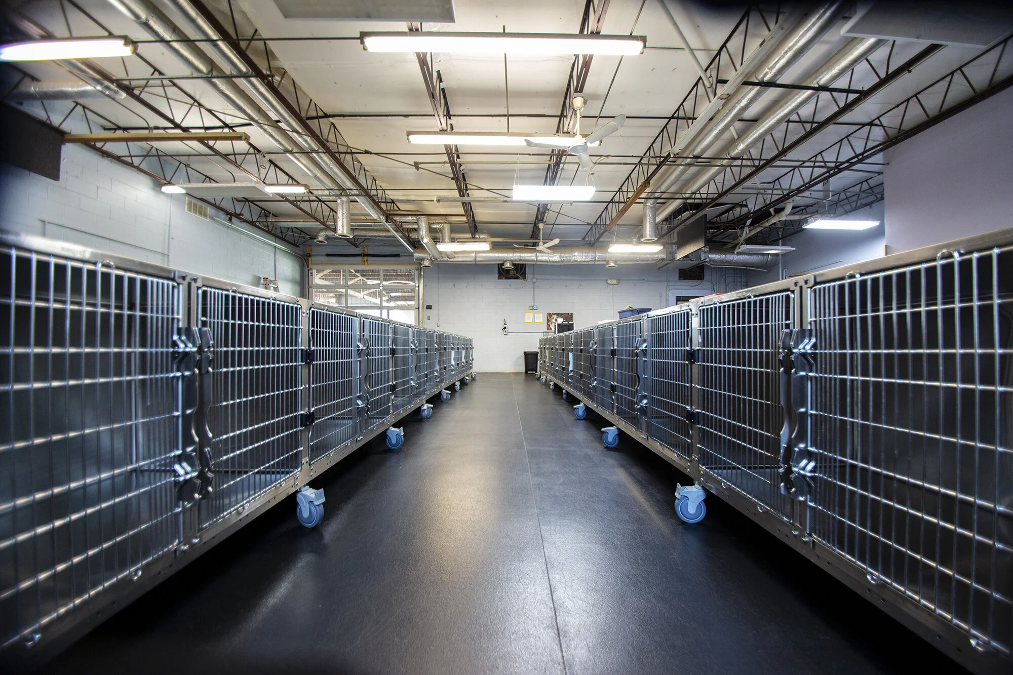 boarding prices — Paw Pals Inc.