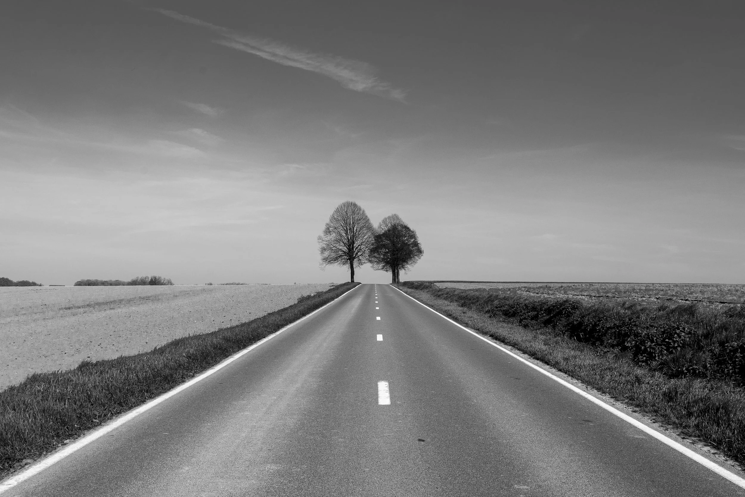 James Reade Venable Photography