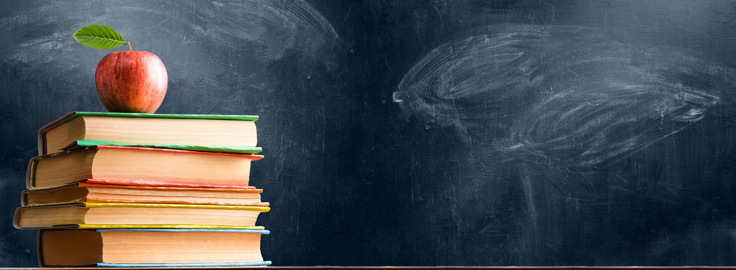 Curriculum Overview — Skillern Elementary at Ivy Academy