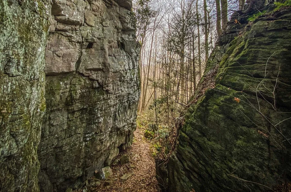 Prospector Trail | Discover Trails Today - Explore and Experience ...