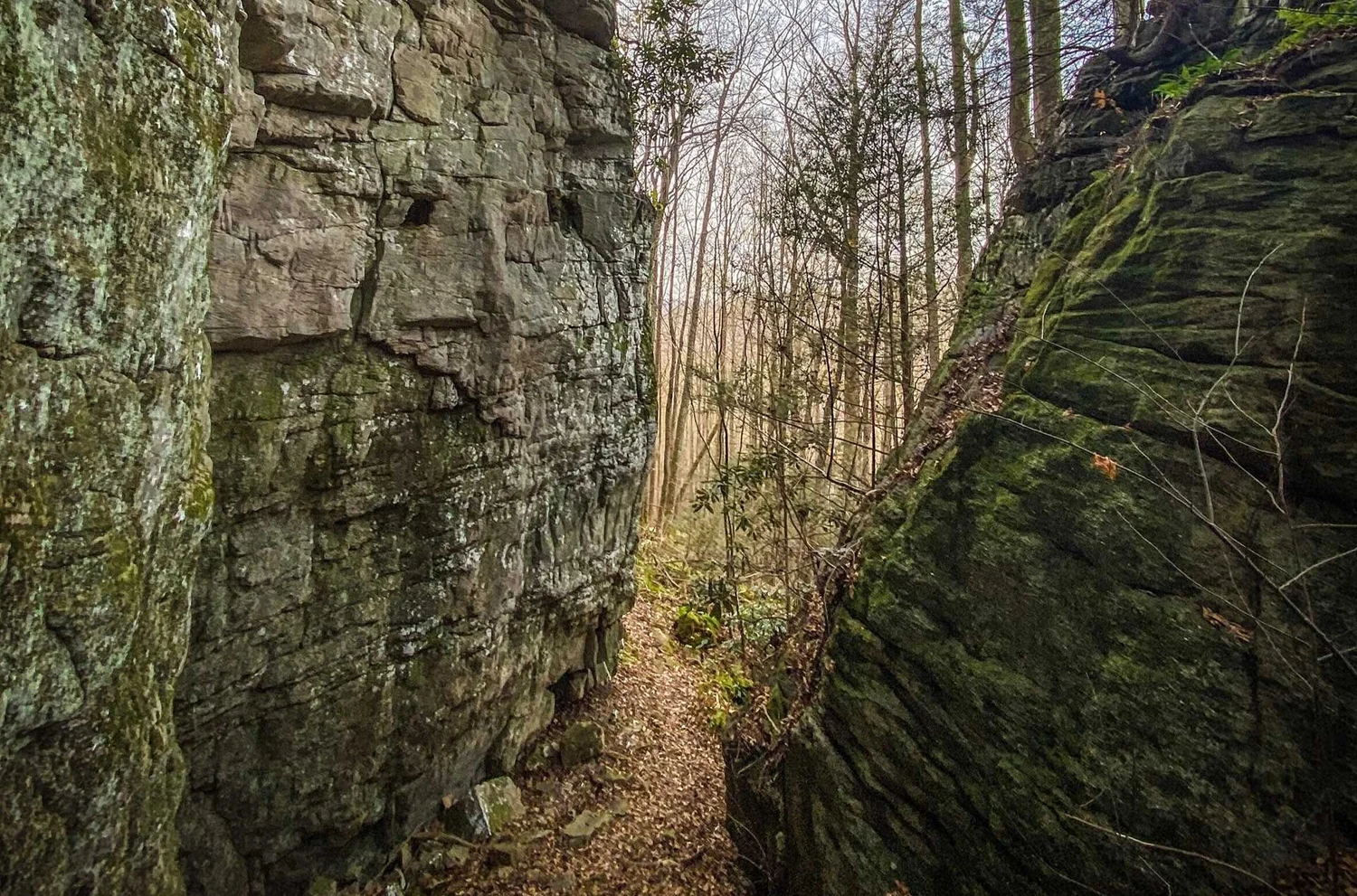 Prospector Trail | Discover Trails Today - Explore and Experience ...