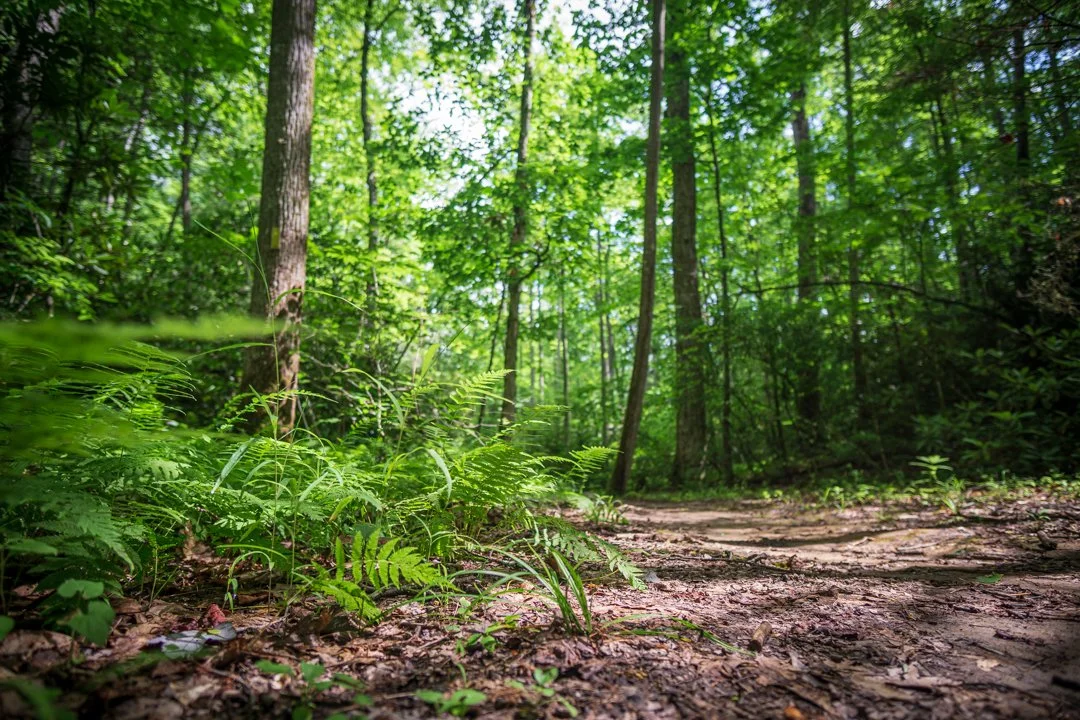 Cold Spring | Discover & Explore Today! — Breaks Interstate Park