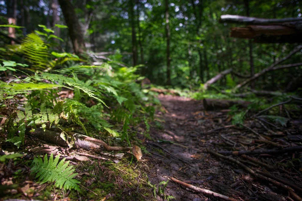Cold Spring — Breaks Interstate Park