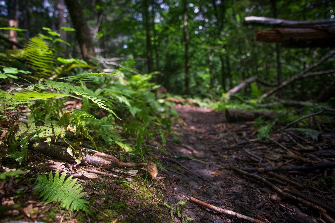 Cold Spring | Discover & Explore Today! — Breaks Interstate Park