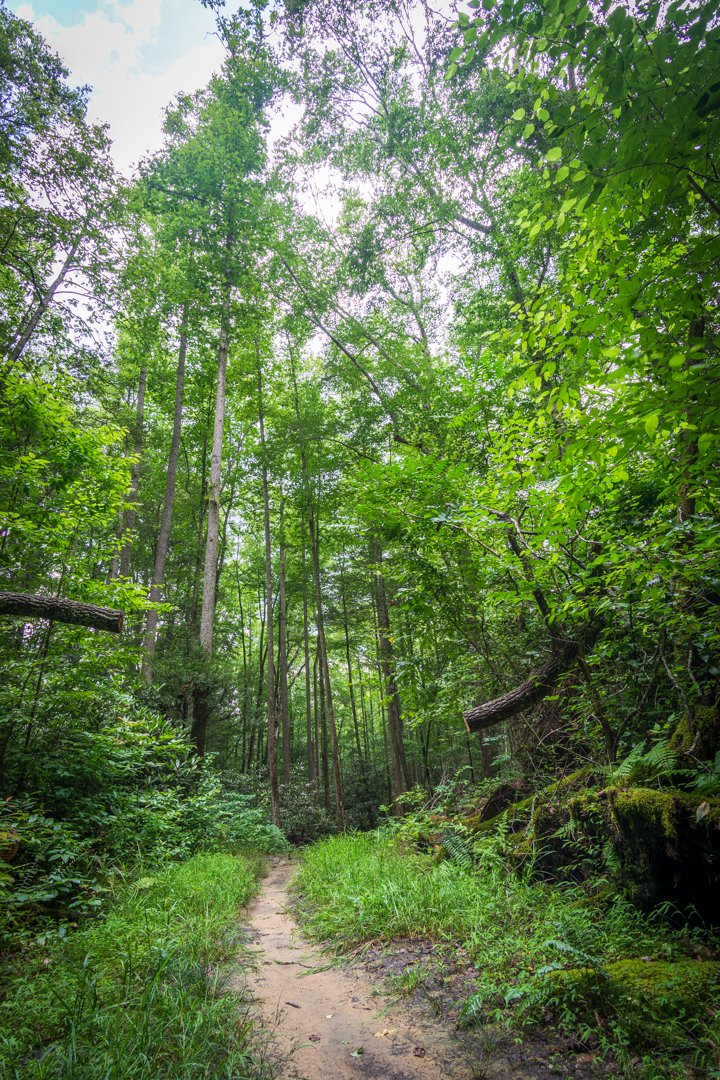 Cold Spring | Discover & Explore Today! — Breaks Interstate Park