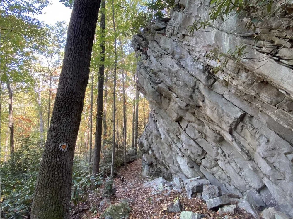 Prospector Trail | Discover Trails Today - Explore and Experience ...