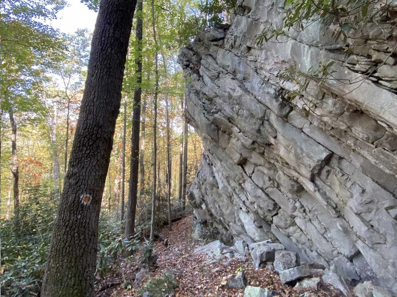 Prospector Trail | Discover Trails Today - Explore and Experience ...