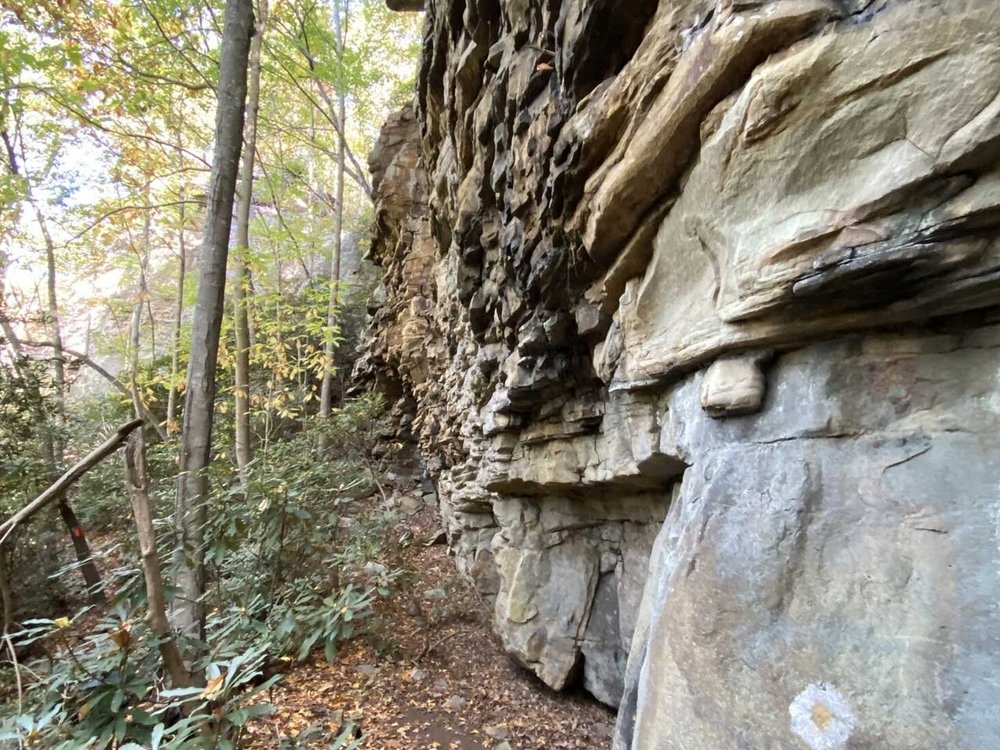 Prospector Trail | Discover Trails Today - Explore and Experience ...