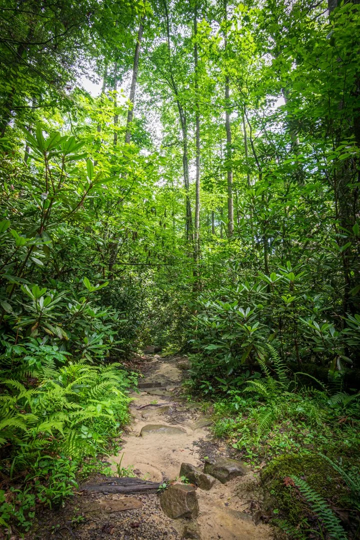 Cold Spring — Breaks Interstate Park