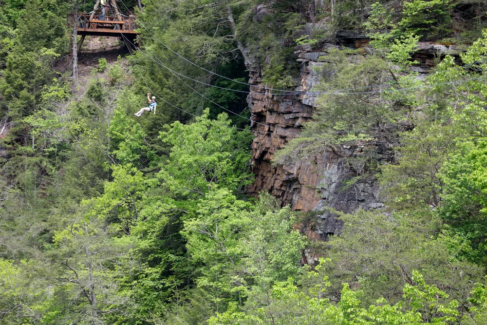 Canyon Rim Zip Line | Experience Adventure Today — Breaks Interstate Park