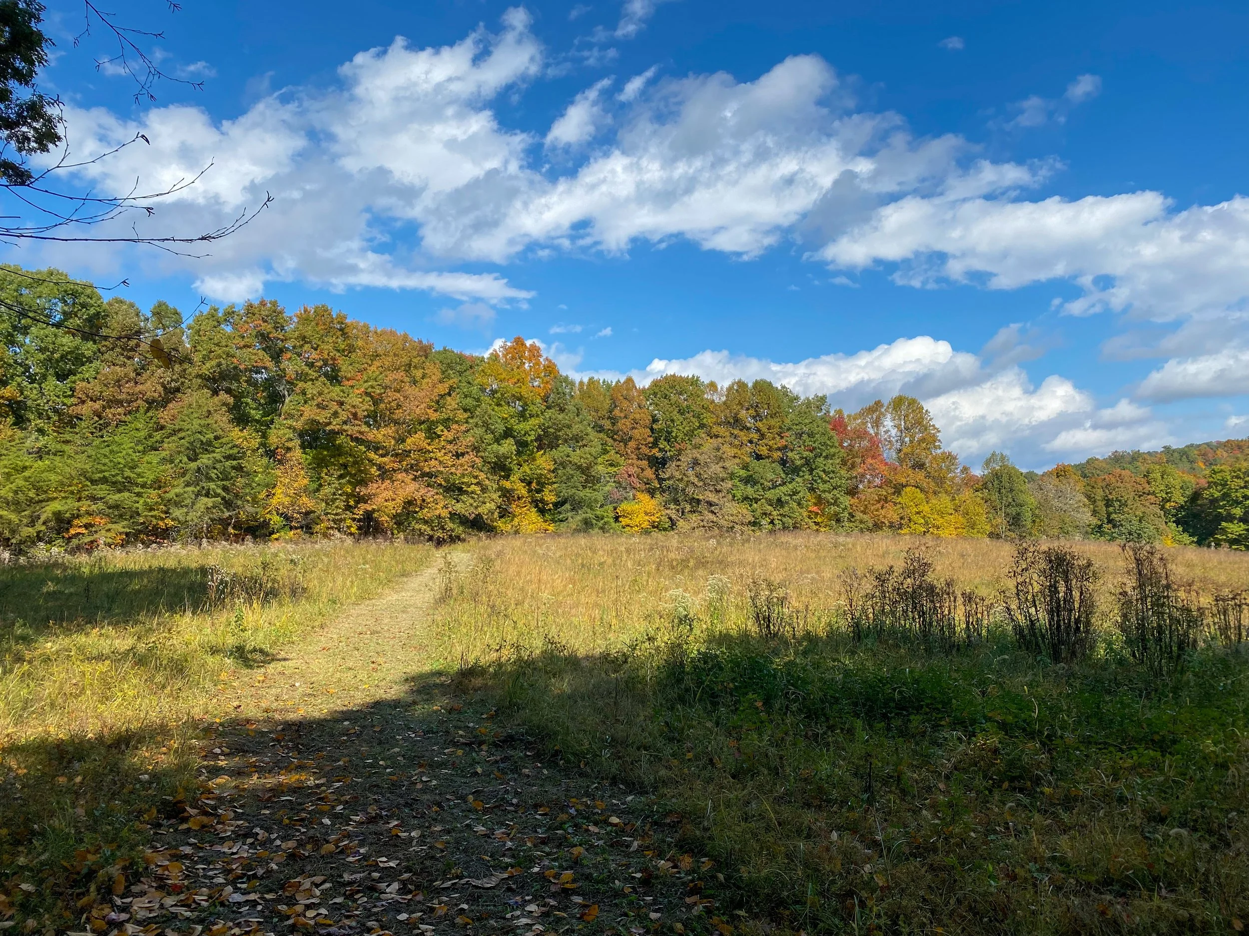 Flatwoods Multiuse Trail System | Discover Trails Now — Breaks ...