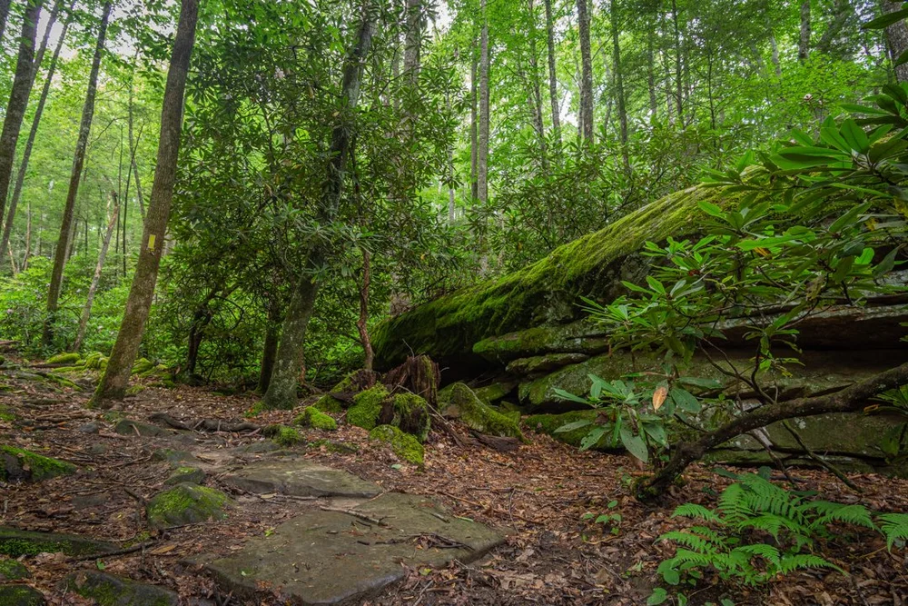 Cold Spring | Discover & Explore Today! — Breaks Interstate Park