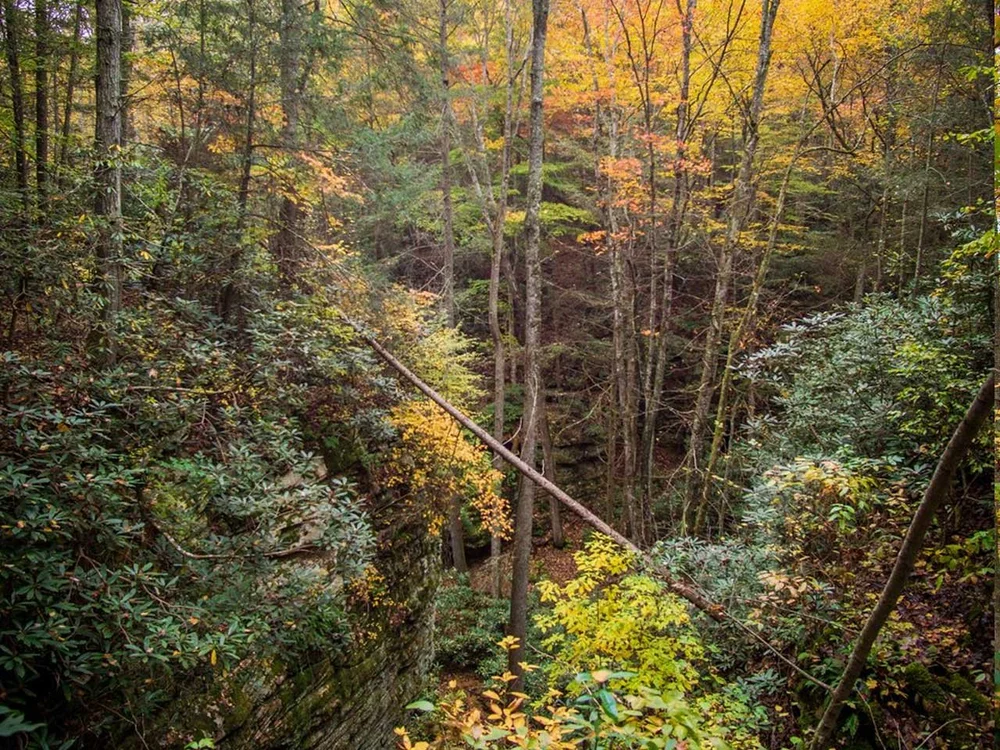 Ridge Trail | Explore Natural Beauty — Hike Now — Breaks Interstate Park