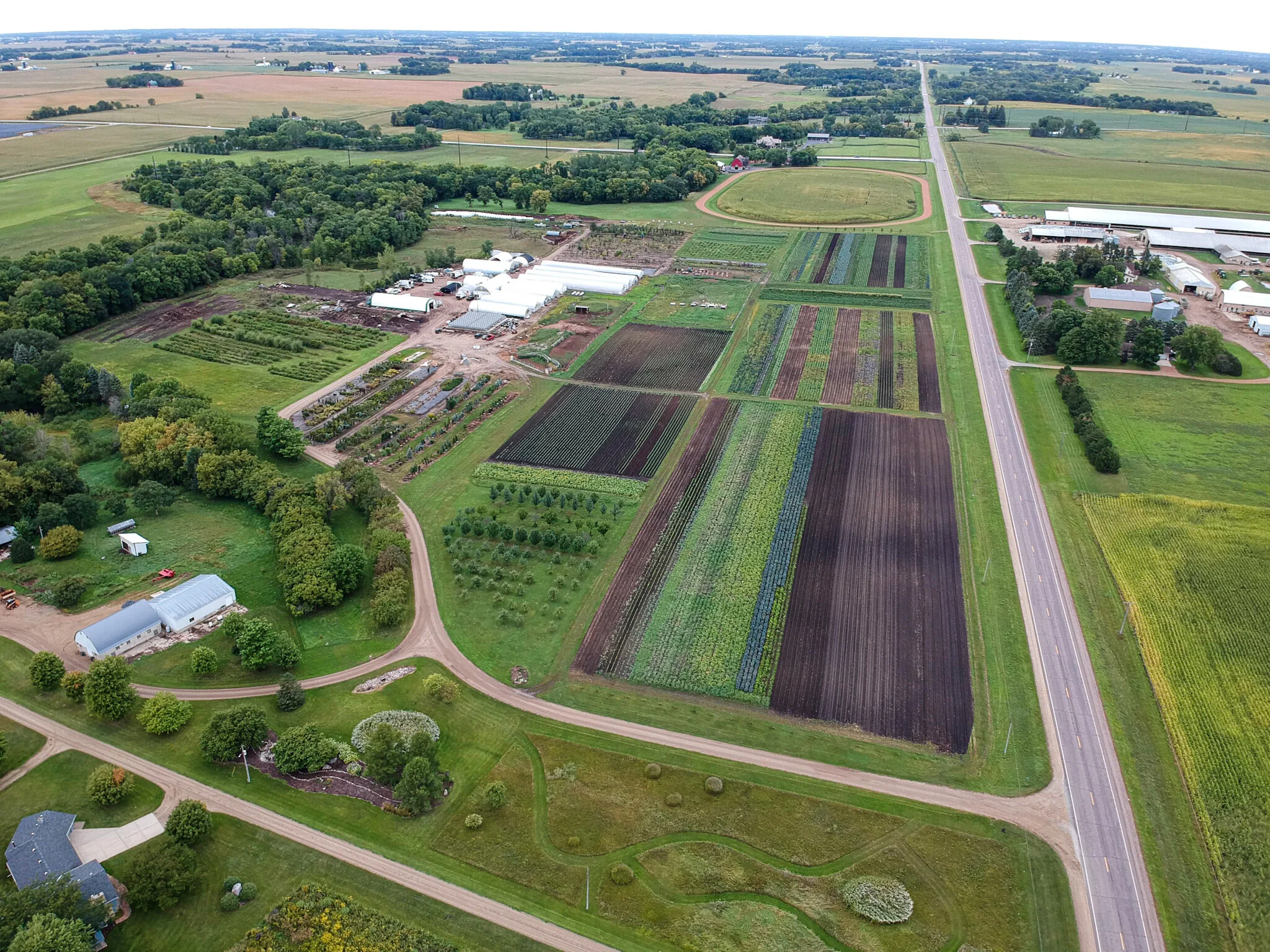 CSA and Farm — Tangletown Gardens