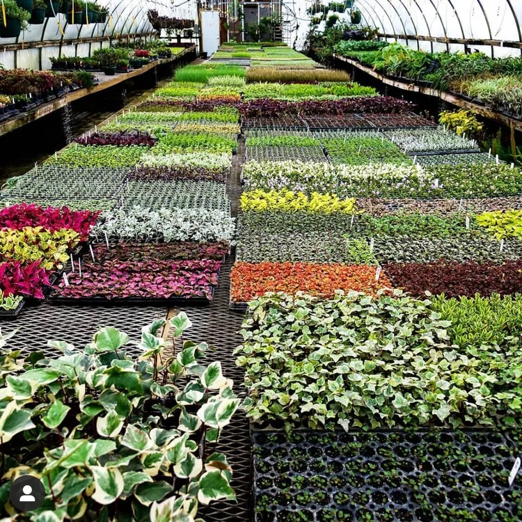 Garden Center — Tangletown Gardens