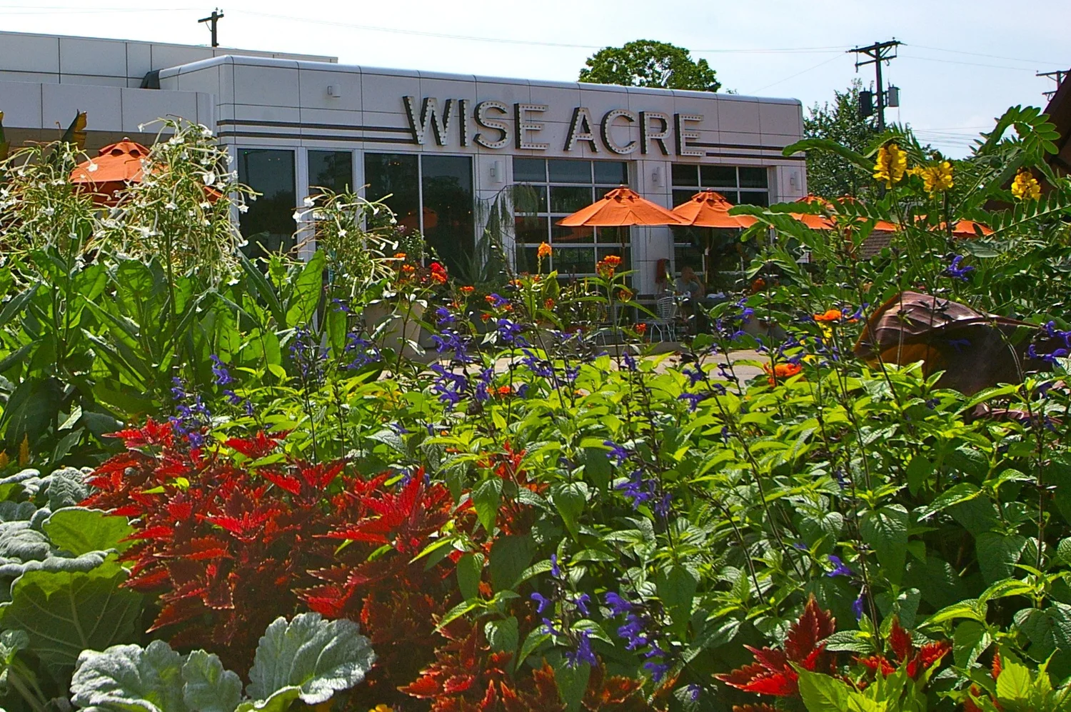 Landscape and Design — Tangletown Gardens