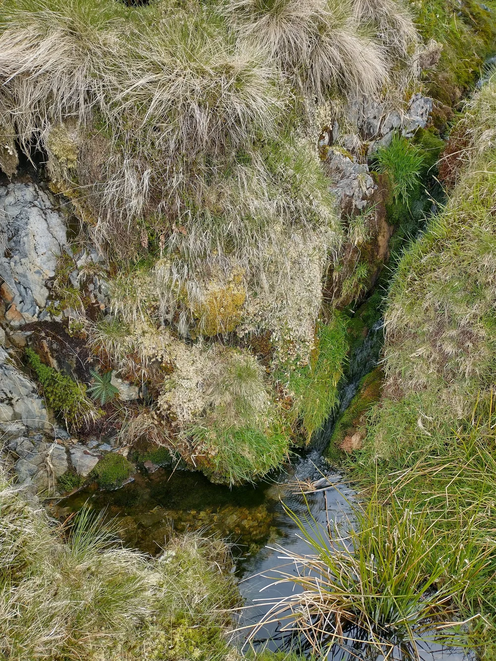 Citizen science — Friends of the River Wye