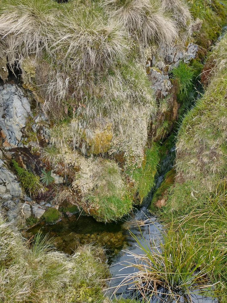 Citizen science — Friends of the River Wye