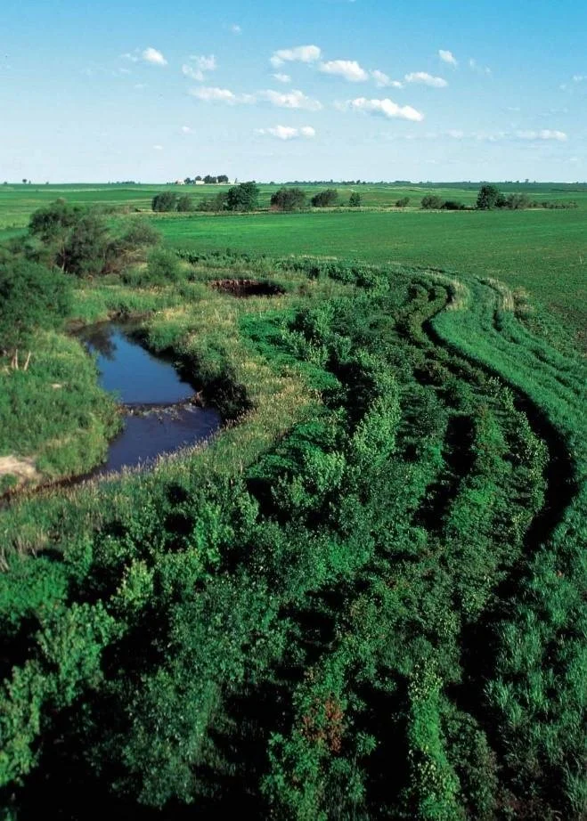 River Buffers & Arable Farming — Friends of the River Wye