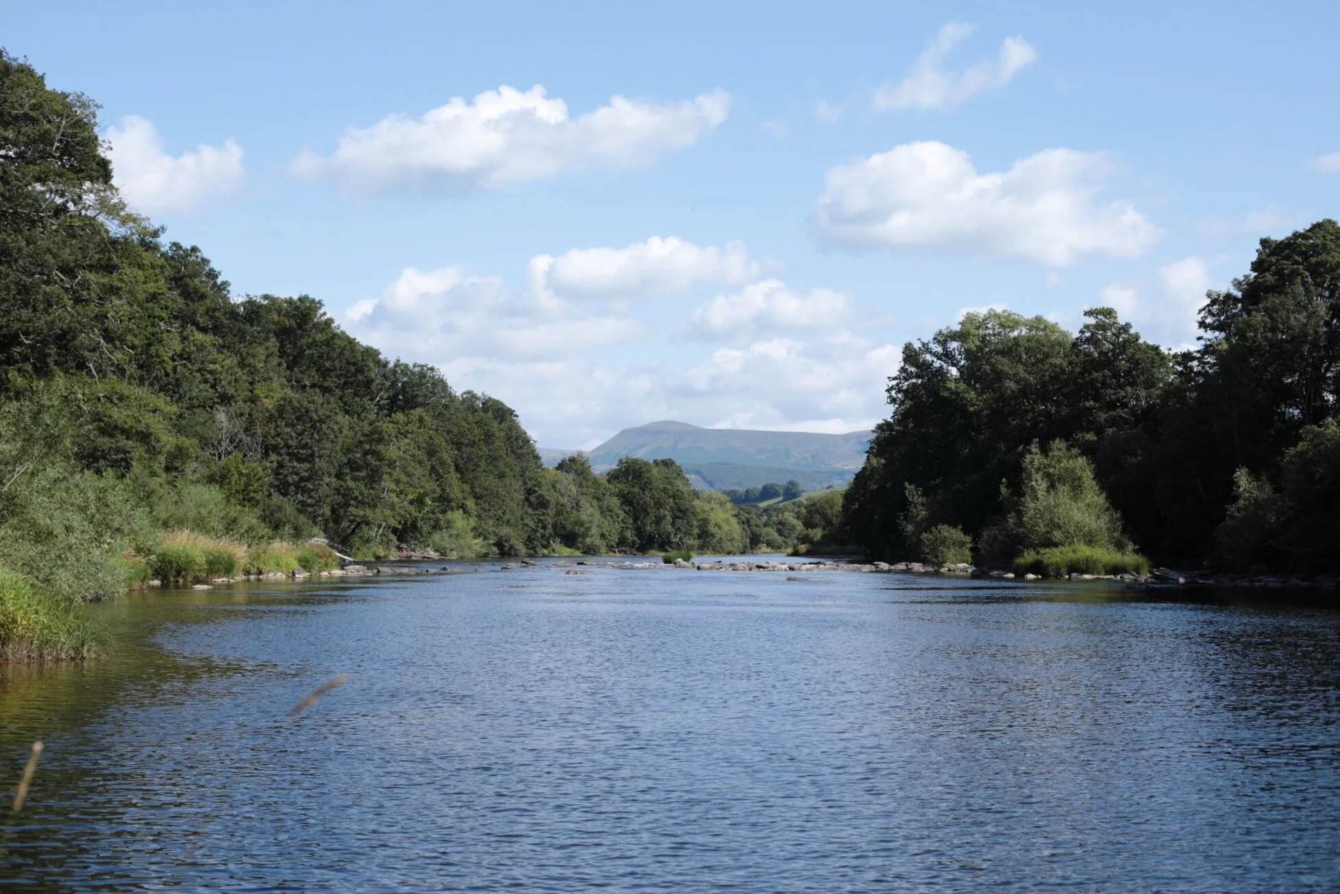 Friends of the River Wye