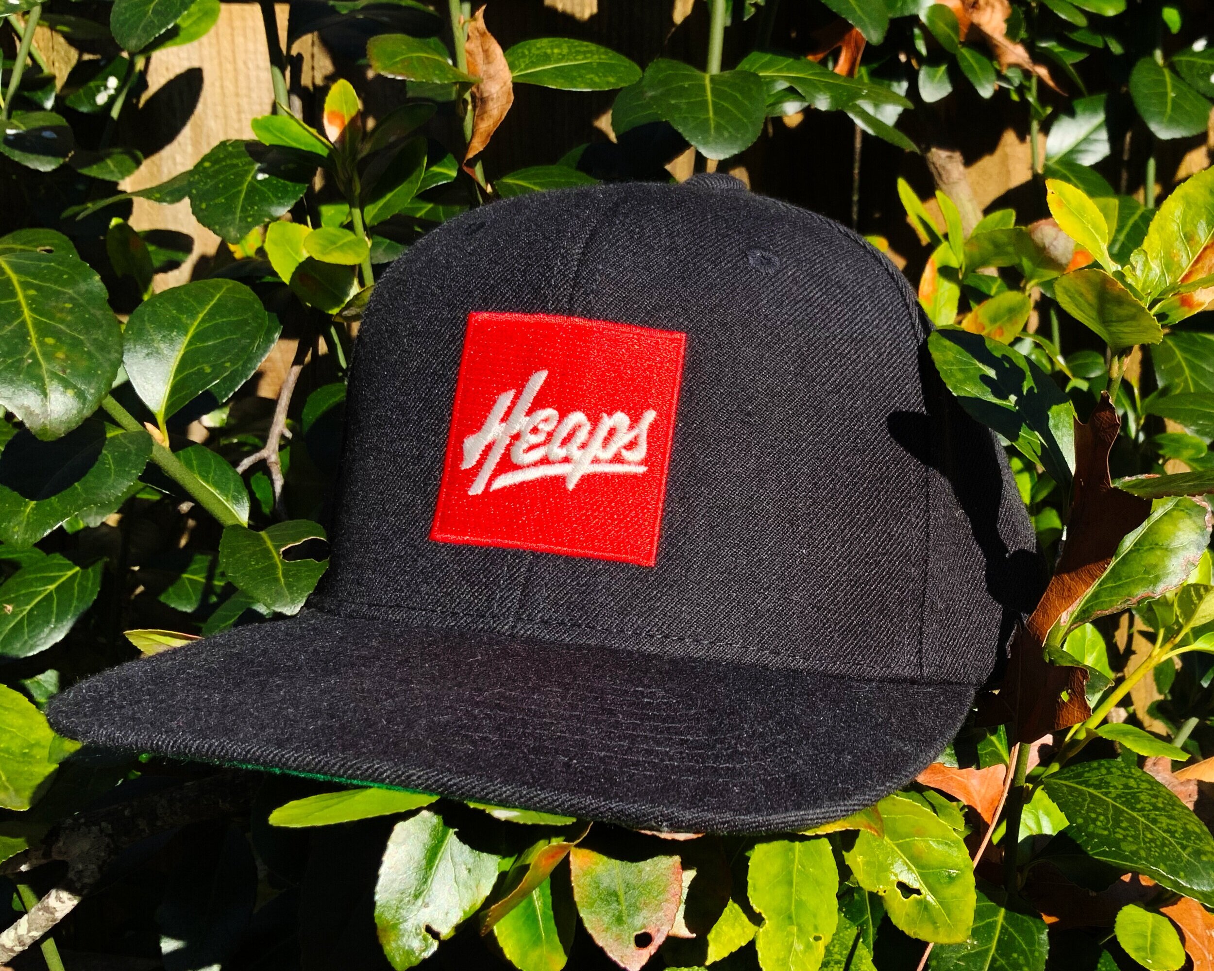 heapspies