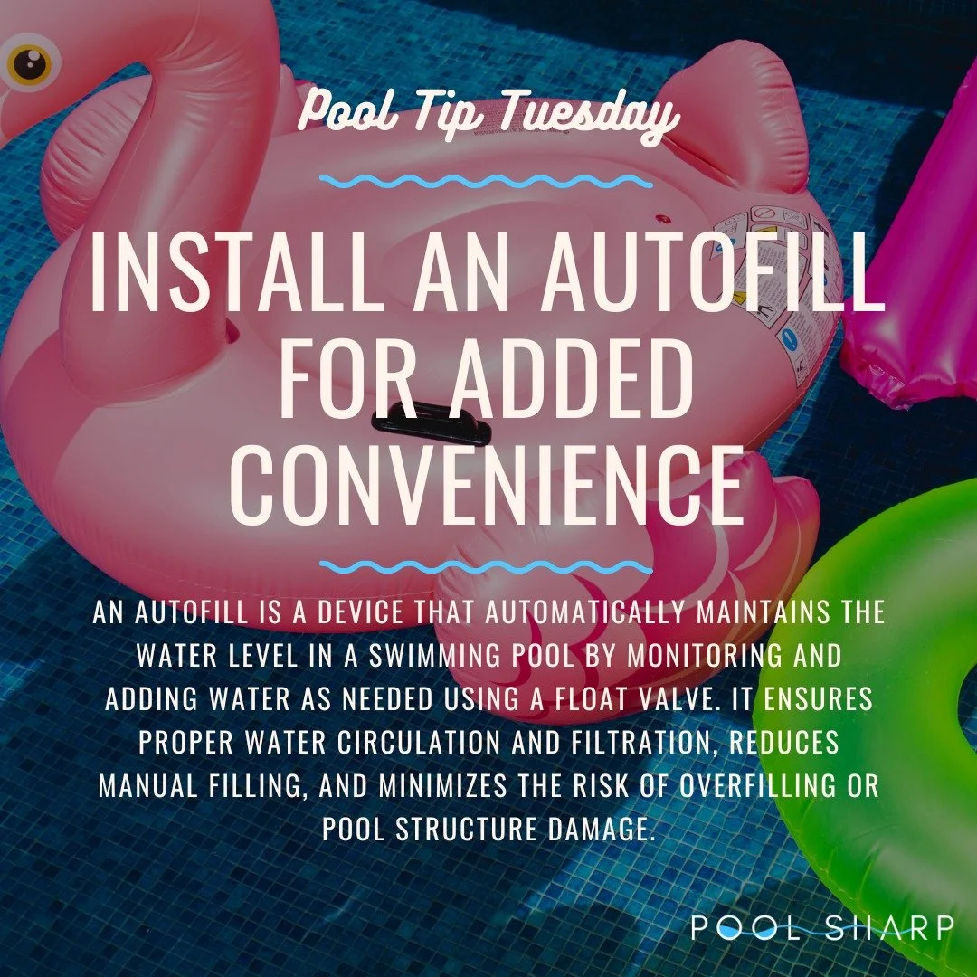 Plunge Pools — Pool Sharp - Pool Builders in Austin, TX