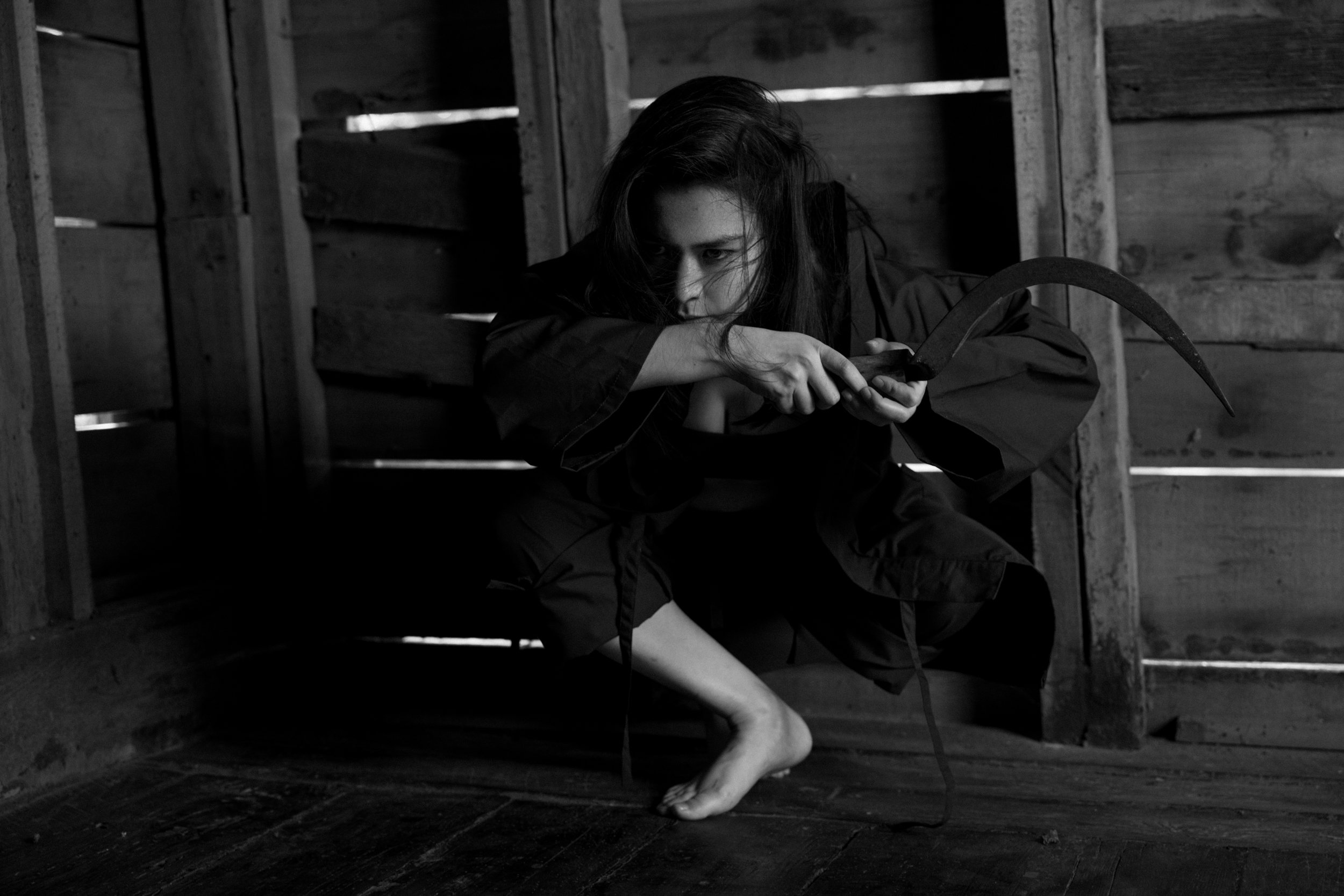 Mitski - King of All The Land — EBRU YILDIZ