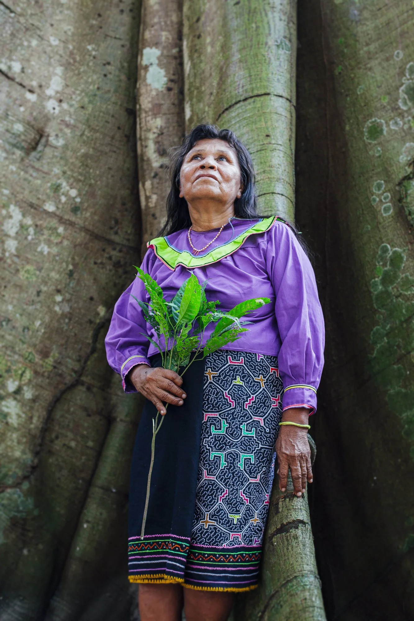 Women and Trees