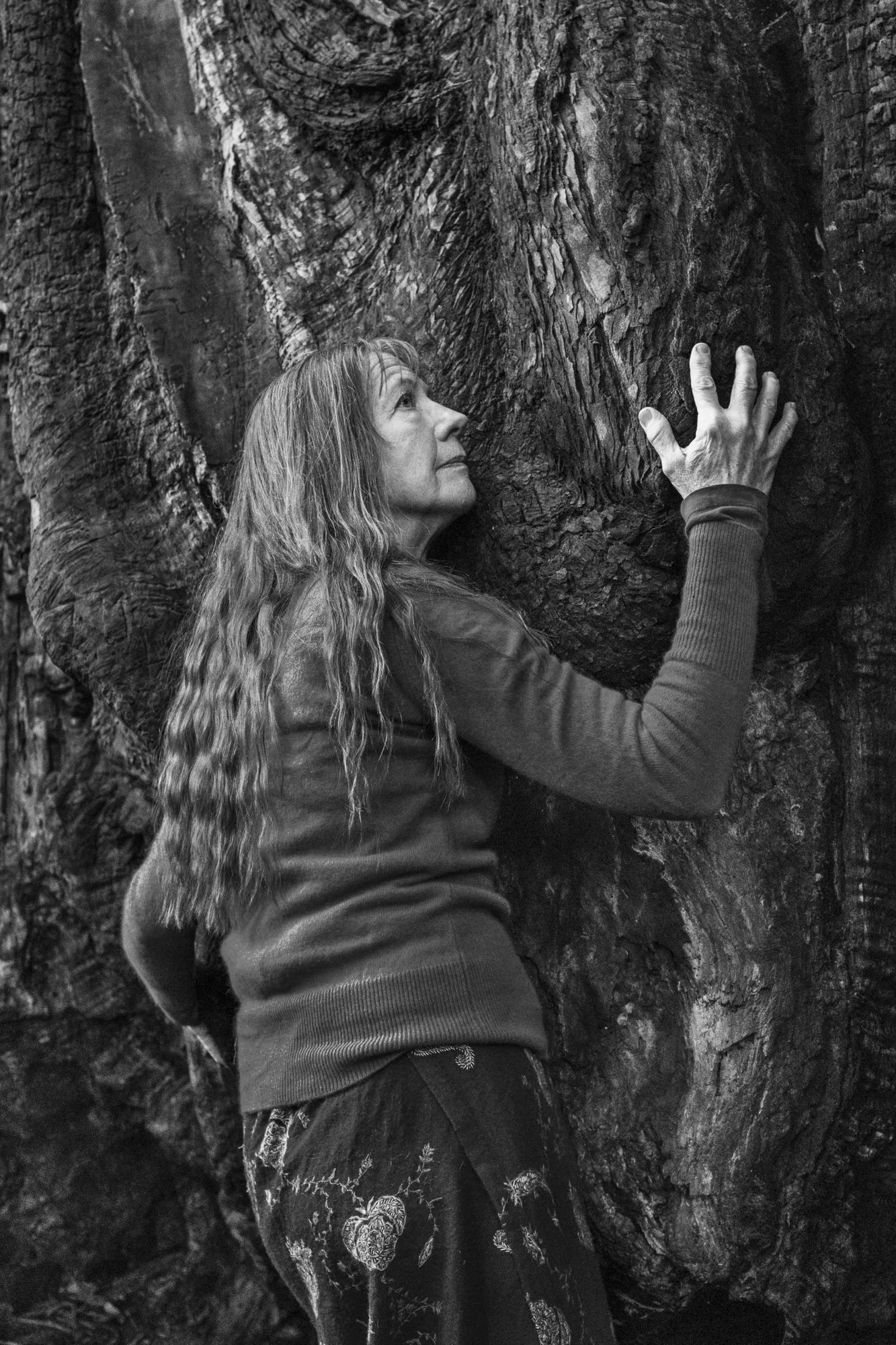 Women and Trees