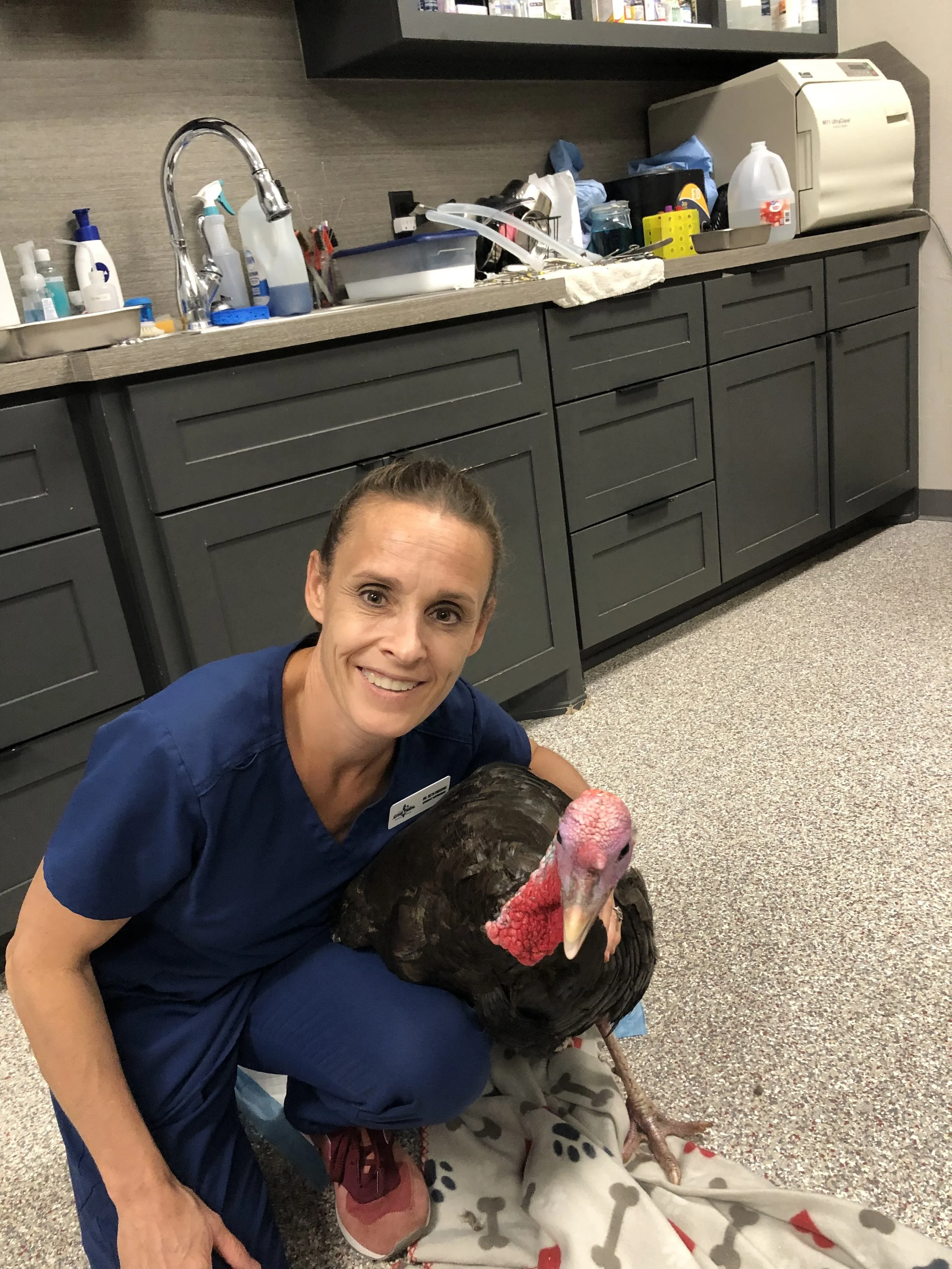 Our Staff — Great Plains Veterinary Services