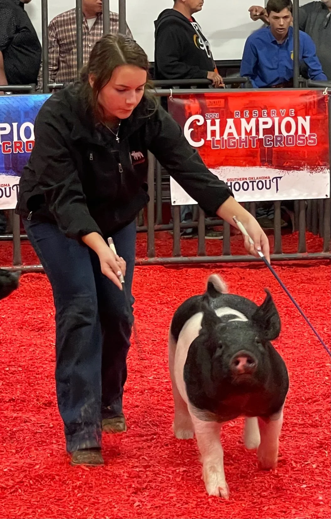 Our Staff — Great Plains Veterinary Services