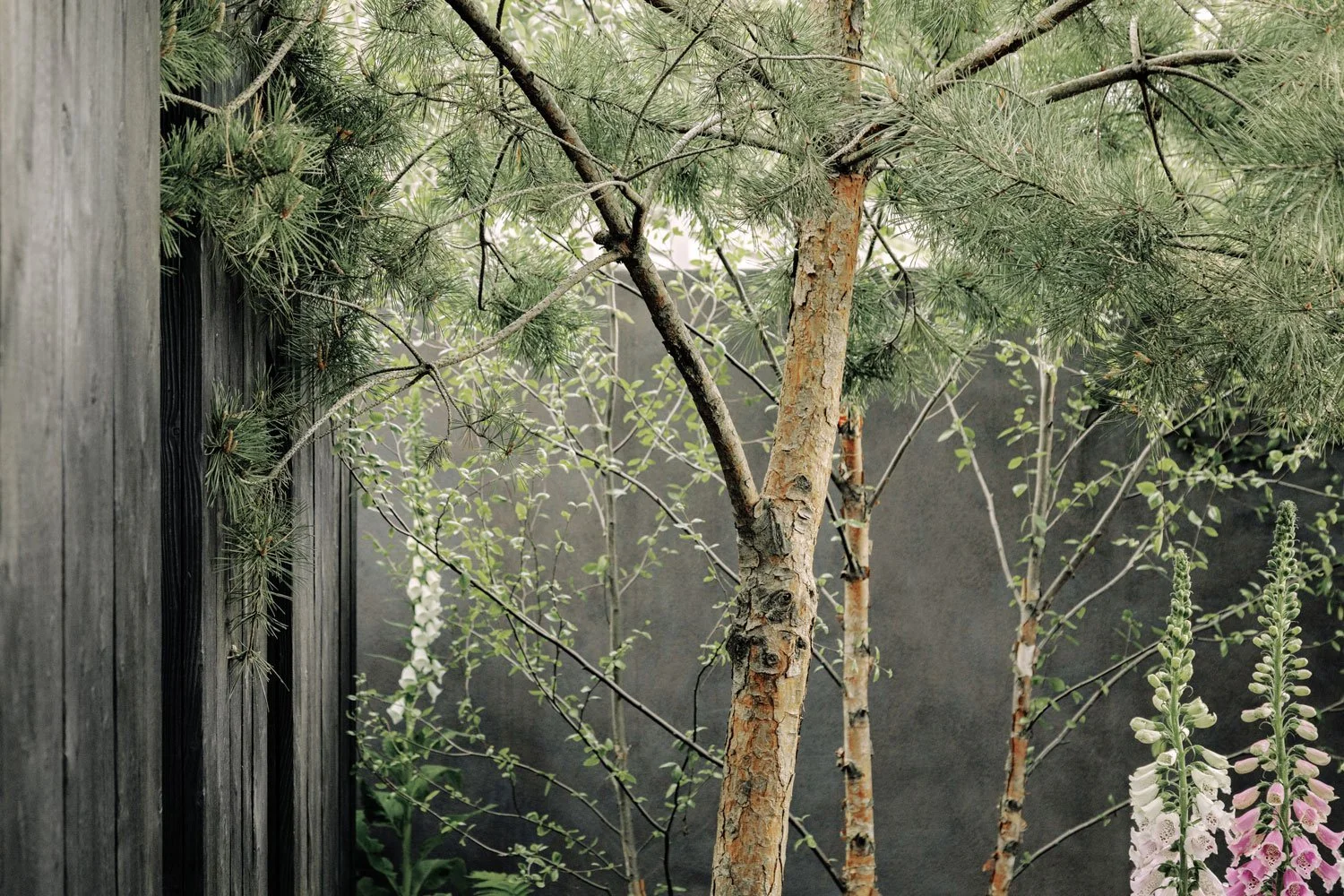 Versatile, Premium Backyard Cabins: Garden Rooms, Studios, Workspaces ...