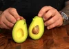 Salsa Cruda – Creamy Tomatillo & Avocado Salsa (aka Guacamole Salsa ...