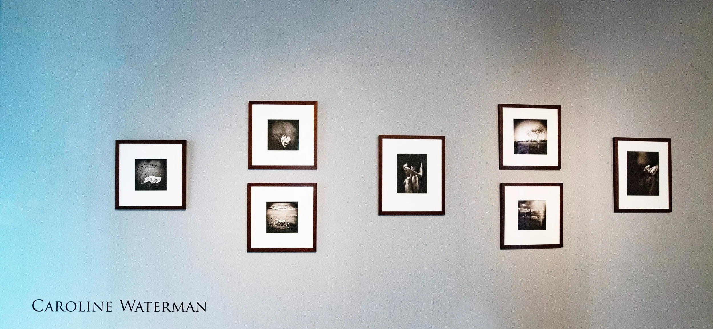 Artist Statement— Caroline Waterman