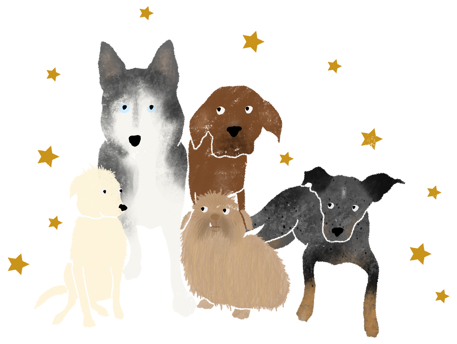 Stumptown Strays: Oregon Dog Rescue