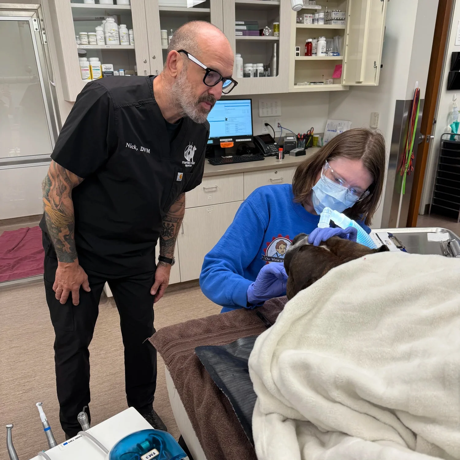 Our Veterinary Team — Stumptown Strays: Oregon Dog Rescue