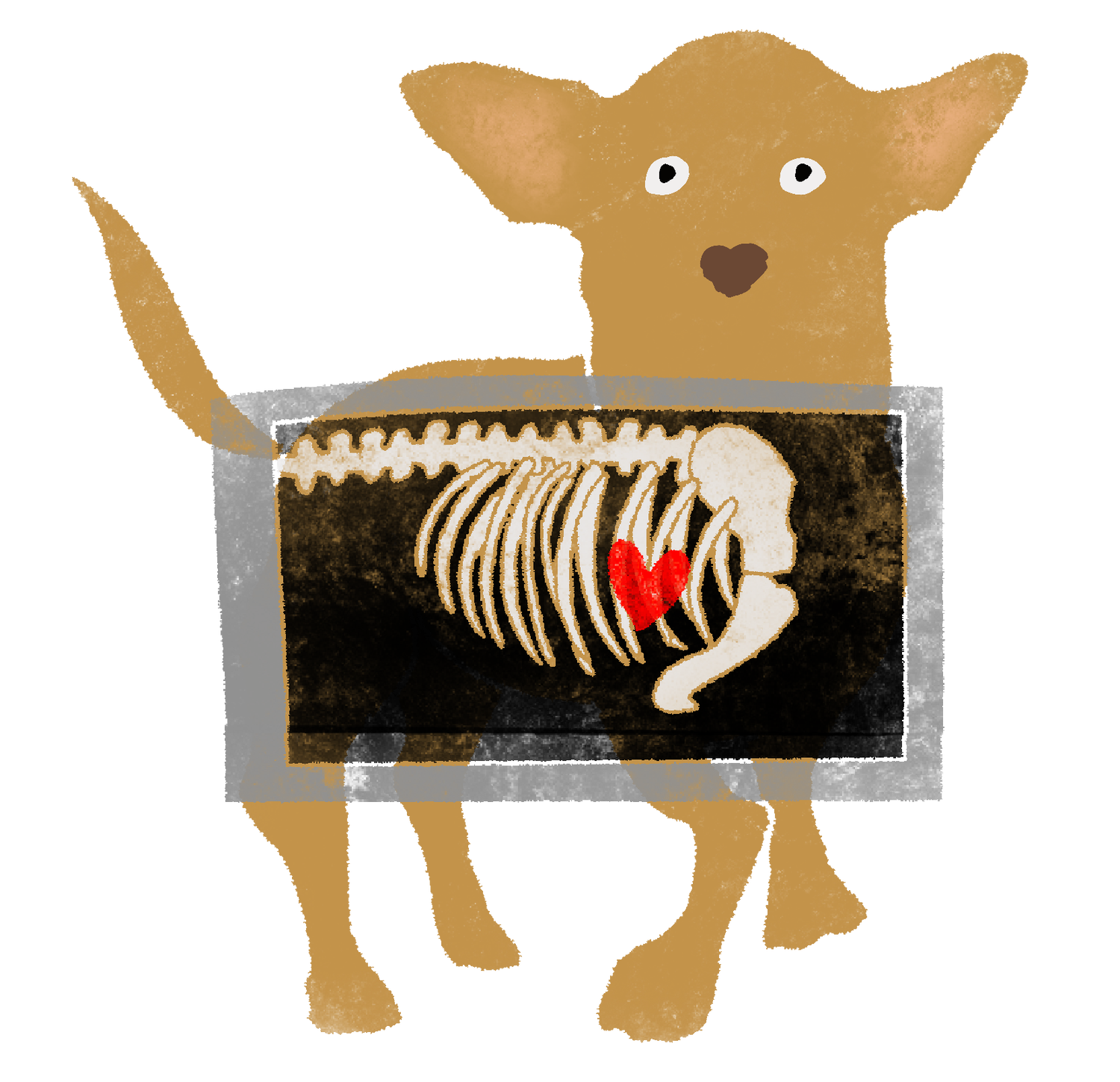 Our Mission — Stumptown Strays: Oregon Dog Rescue