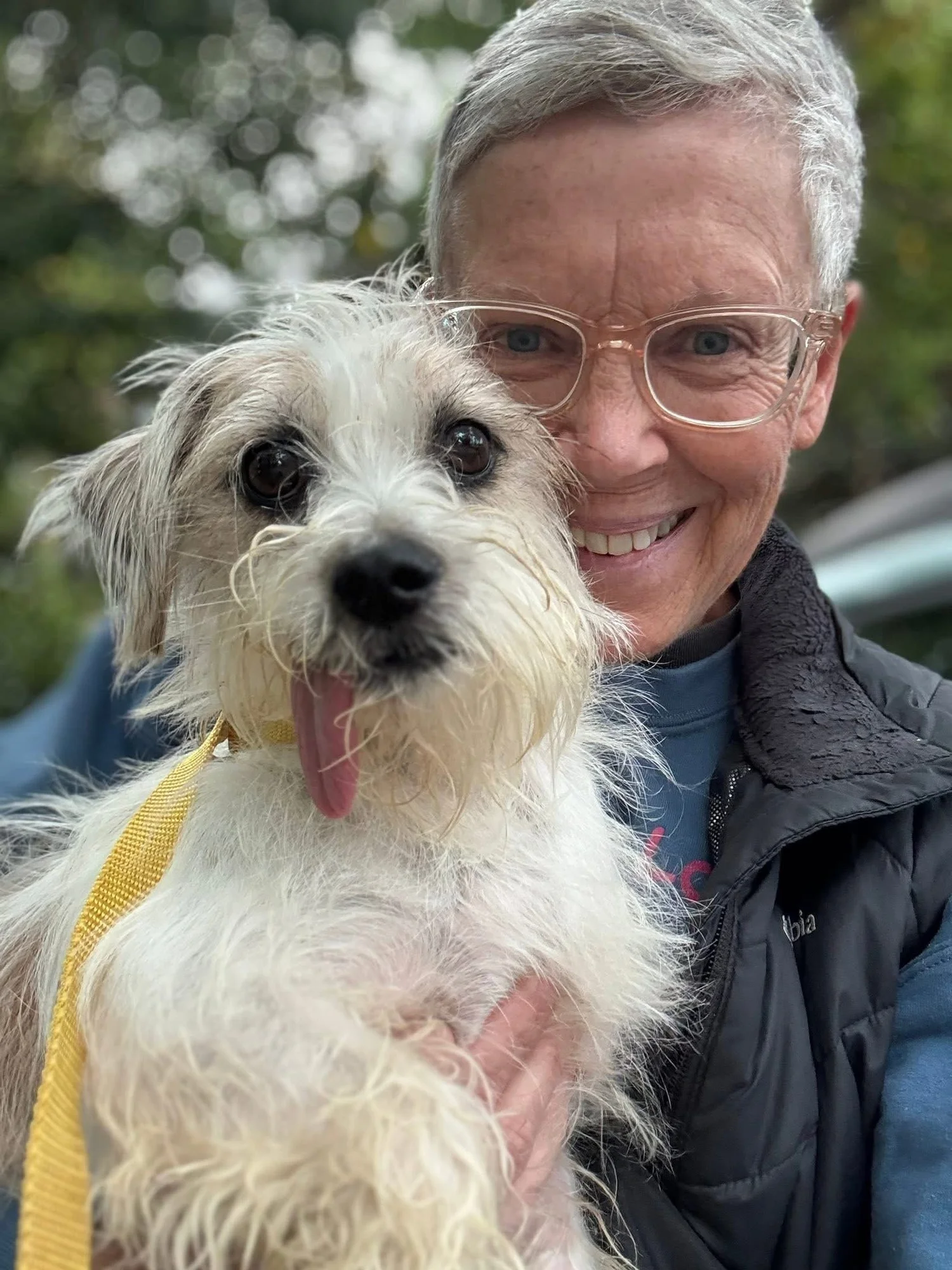 Foster a Dog in Portland, Oregon — Stumptown Strays: Oregon Dog Rescue
