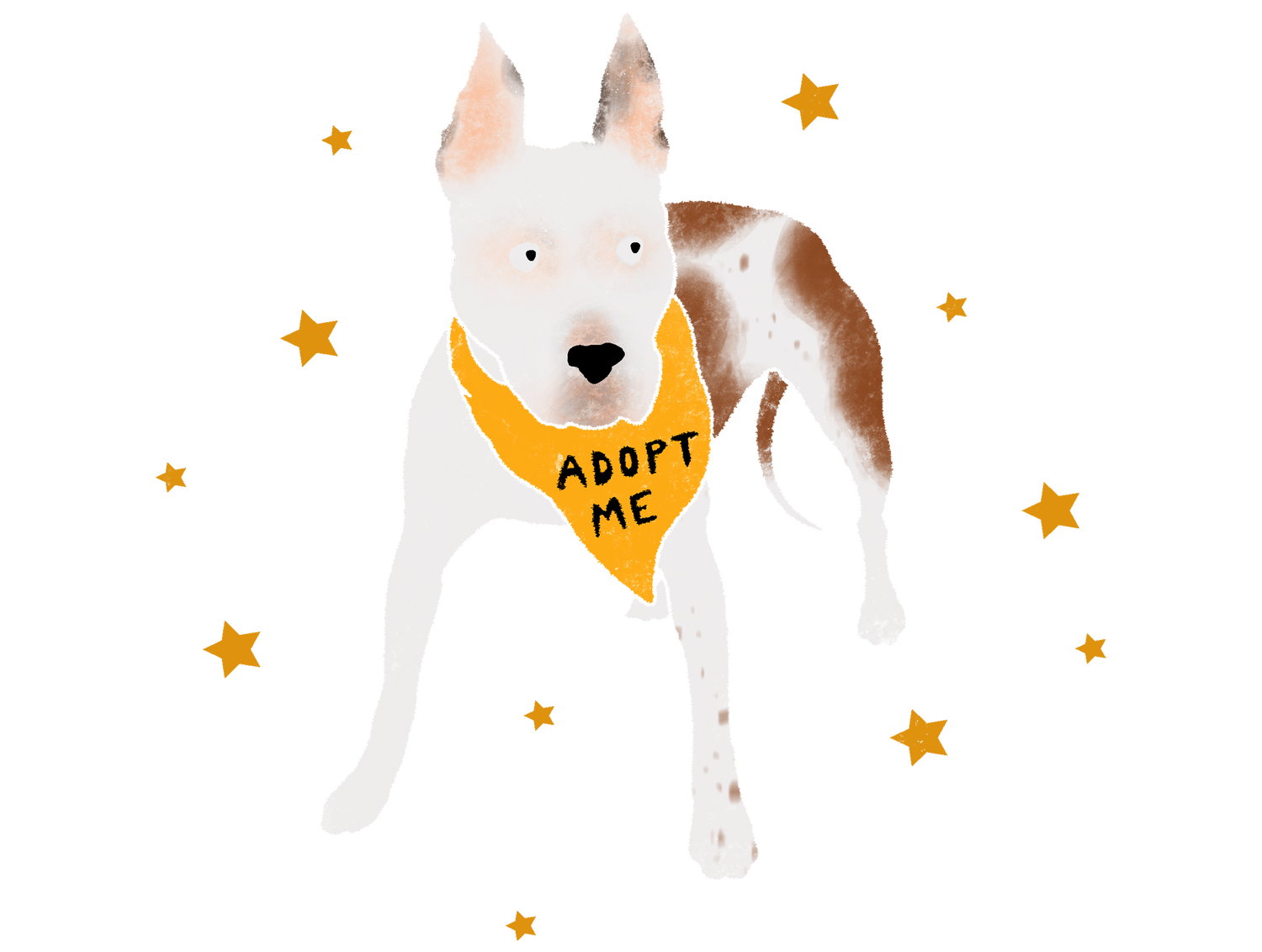 Adoptable Dogs in Oregon — Stumptown Strays: Oregon Dog Rescue