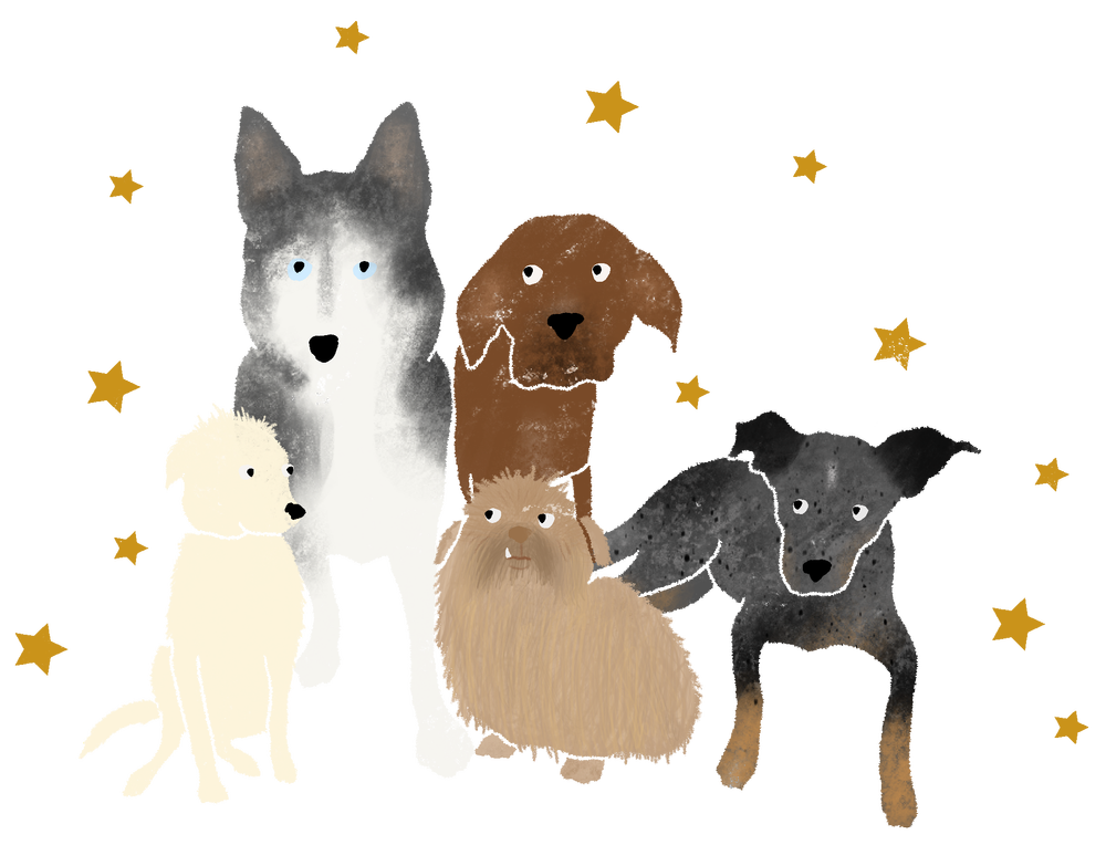 Stumptown Strays: Oregon Dog Rescue