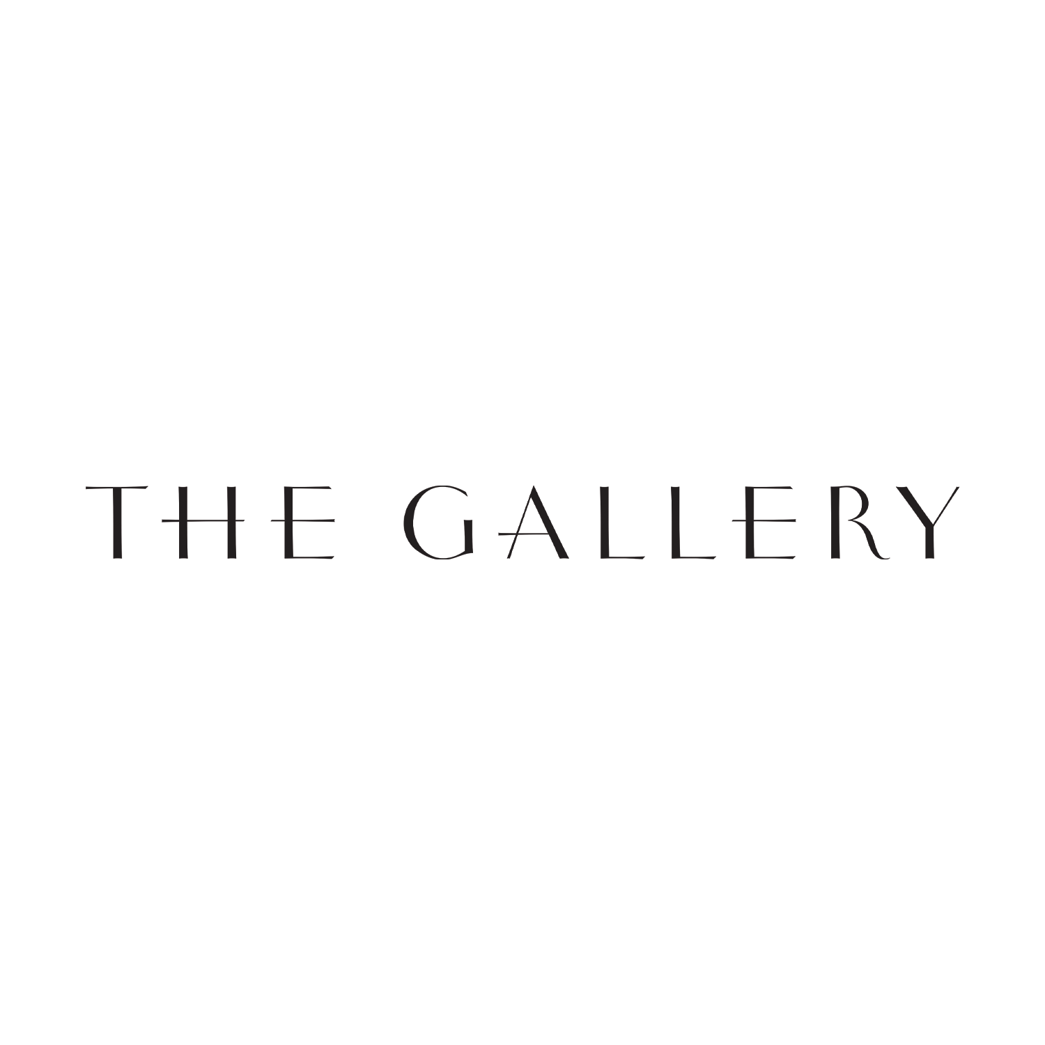 Photo Gallery Logo