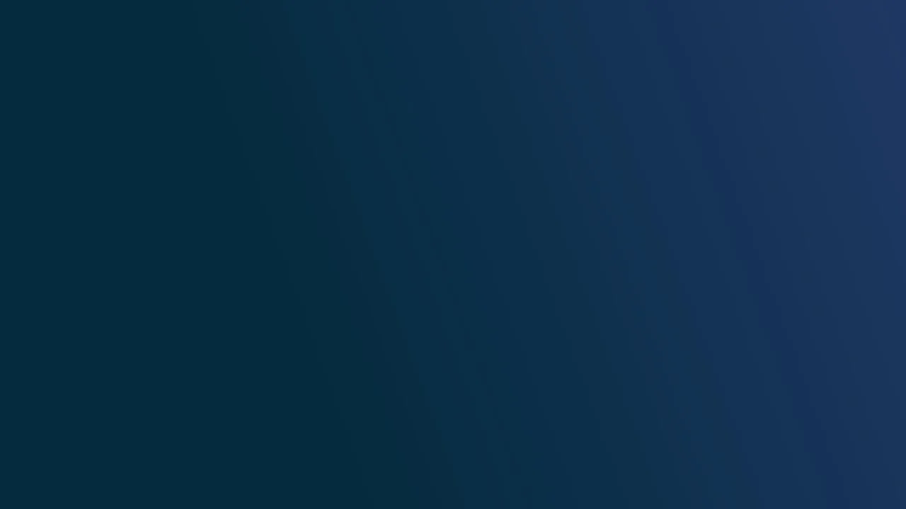 Português — WPcapital