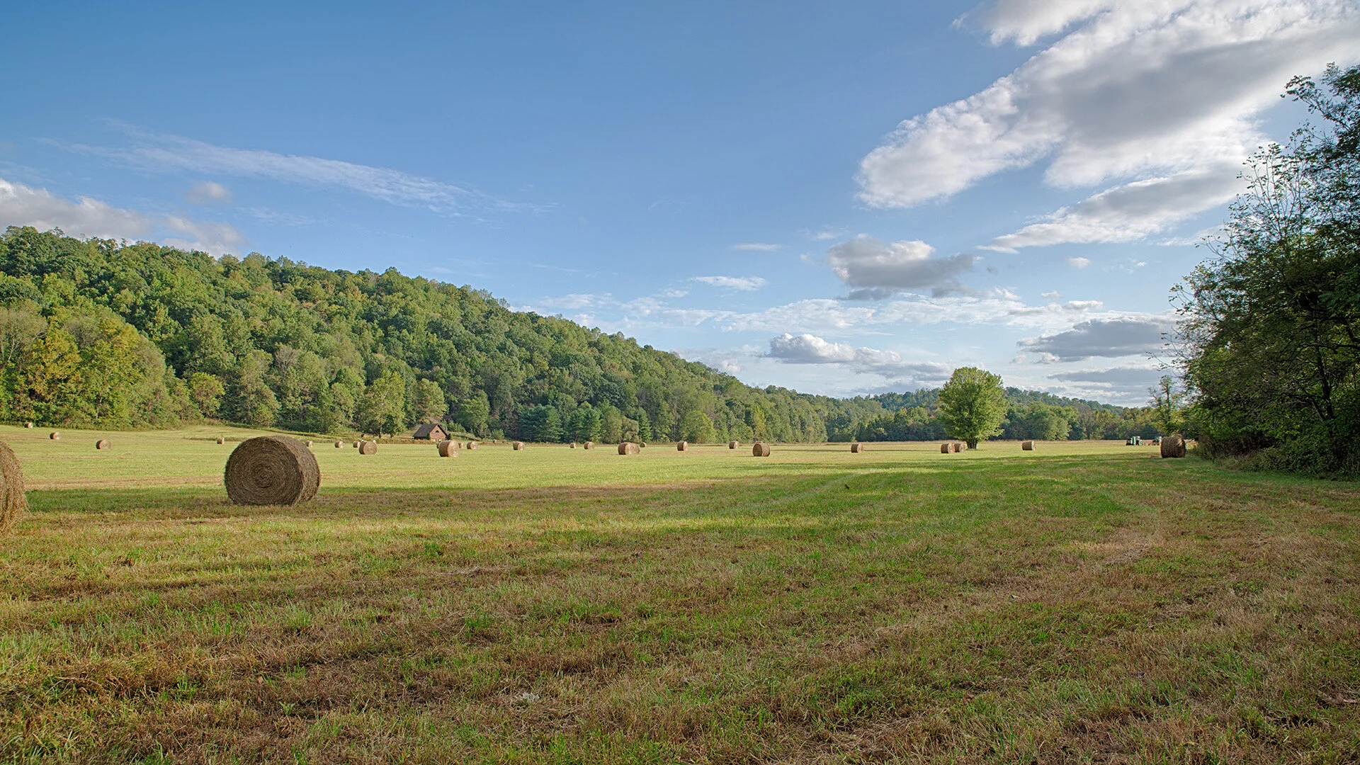 Rooted Land Company, LLC