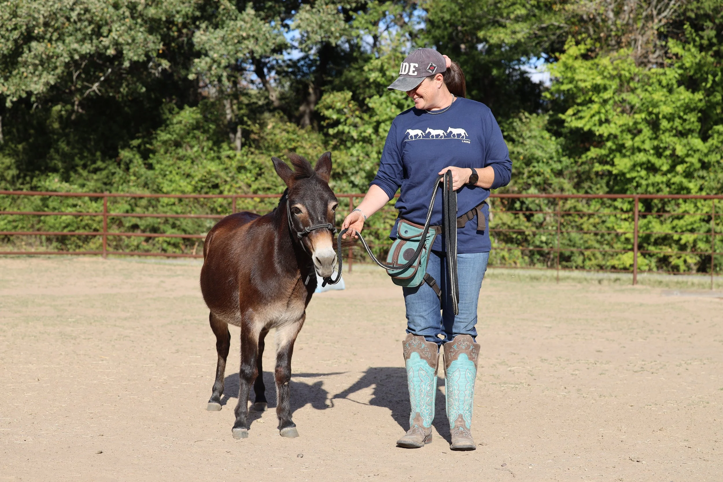 Adopt — Lost Meadows Mule Refuge