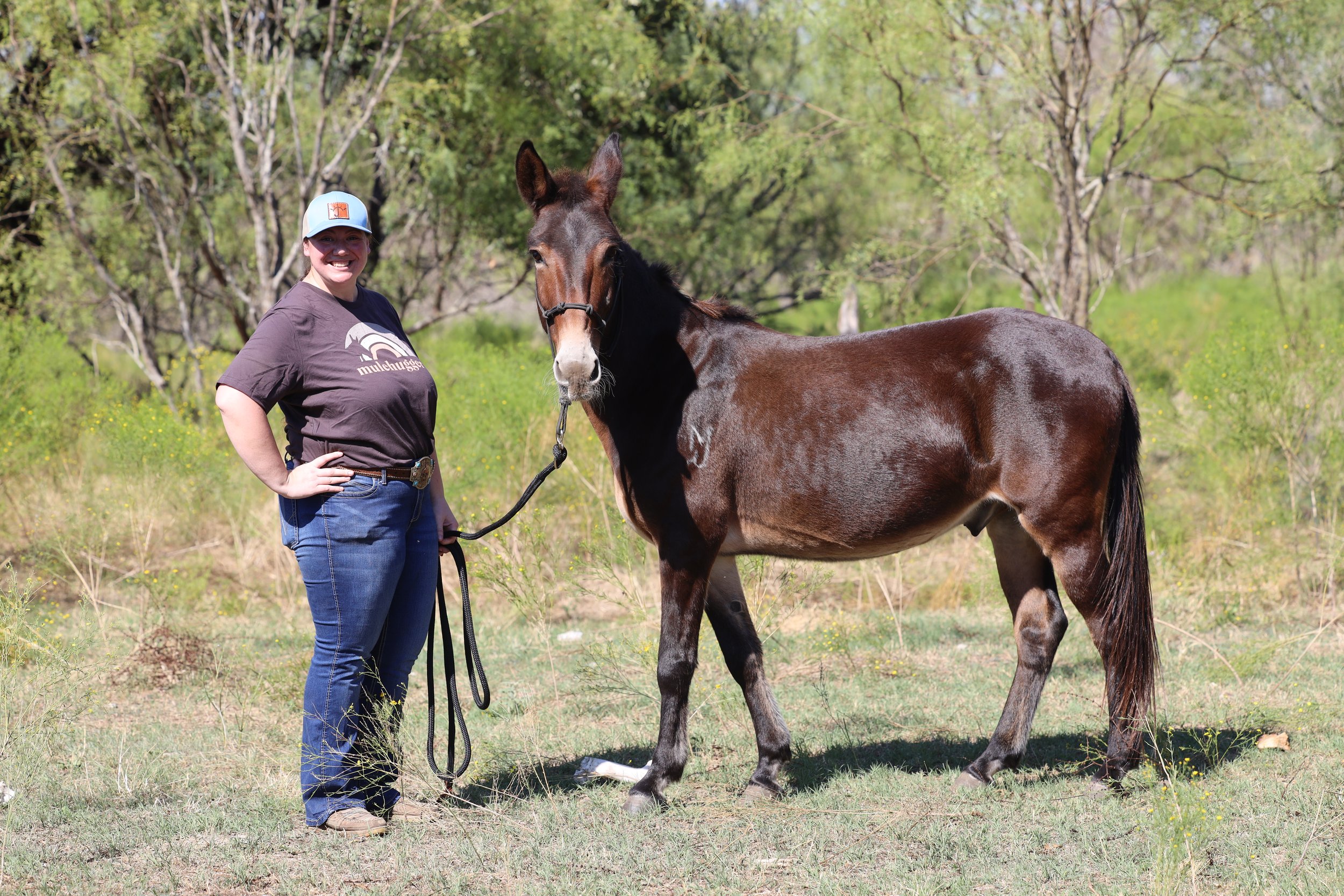 Lost Meadows Mule Refuge