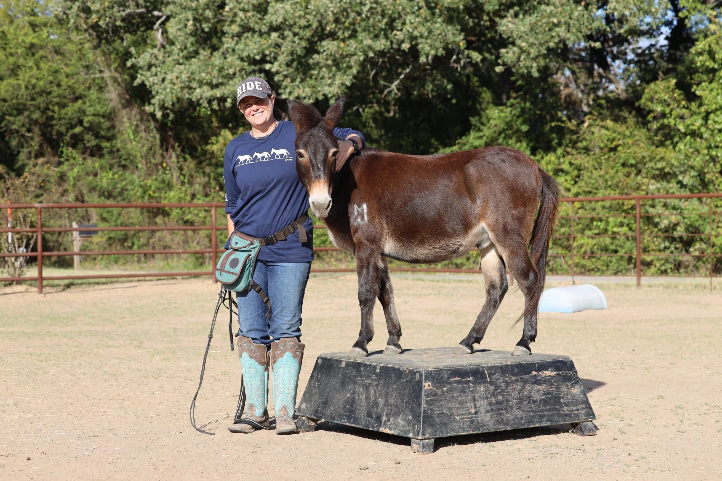 Lost Meadows Mule Refuge