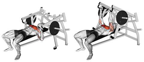 Lying Machine Chest Press — BETTER BODY ACADEMY